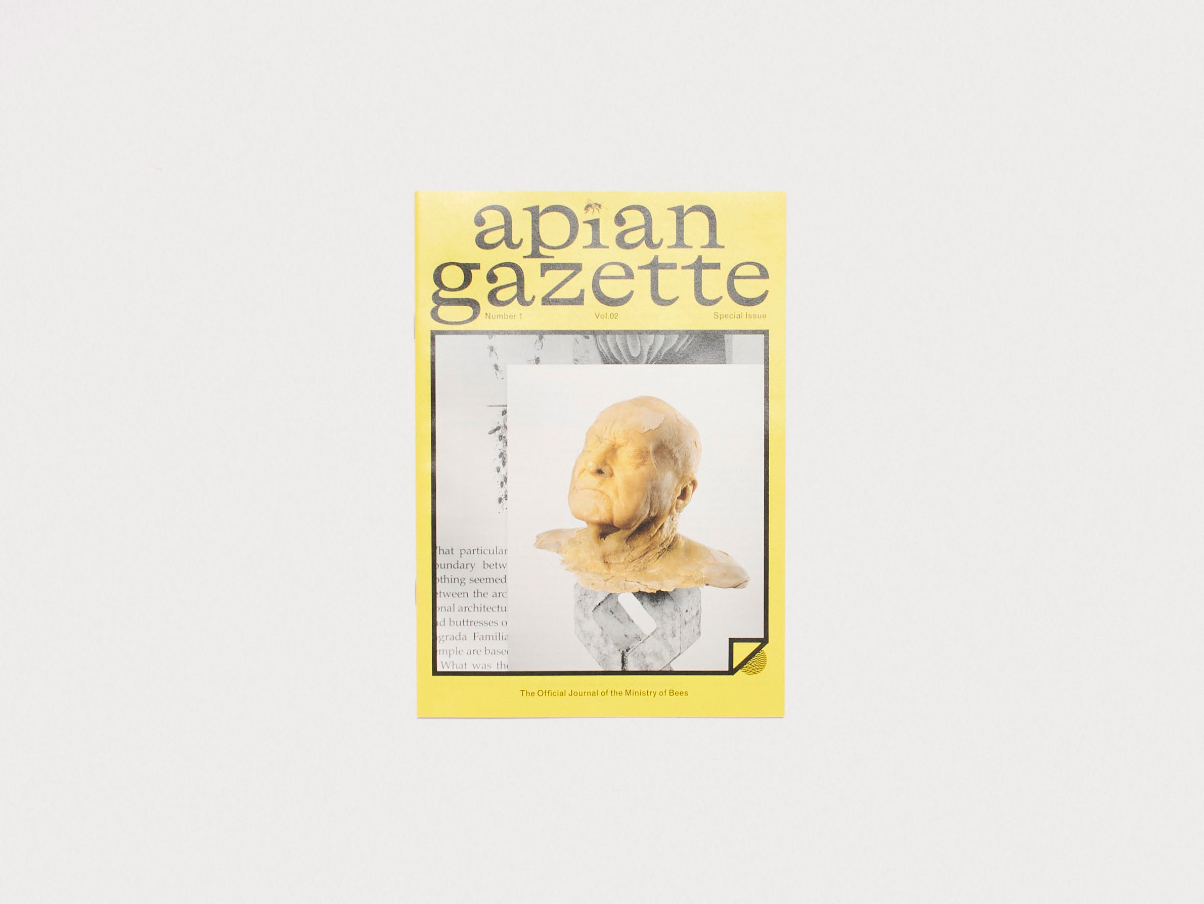 Apian Gazette Vol. 02 - Special Issue 2025 / N.01 – Antenne Books